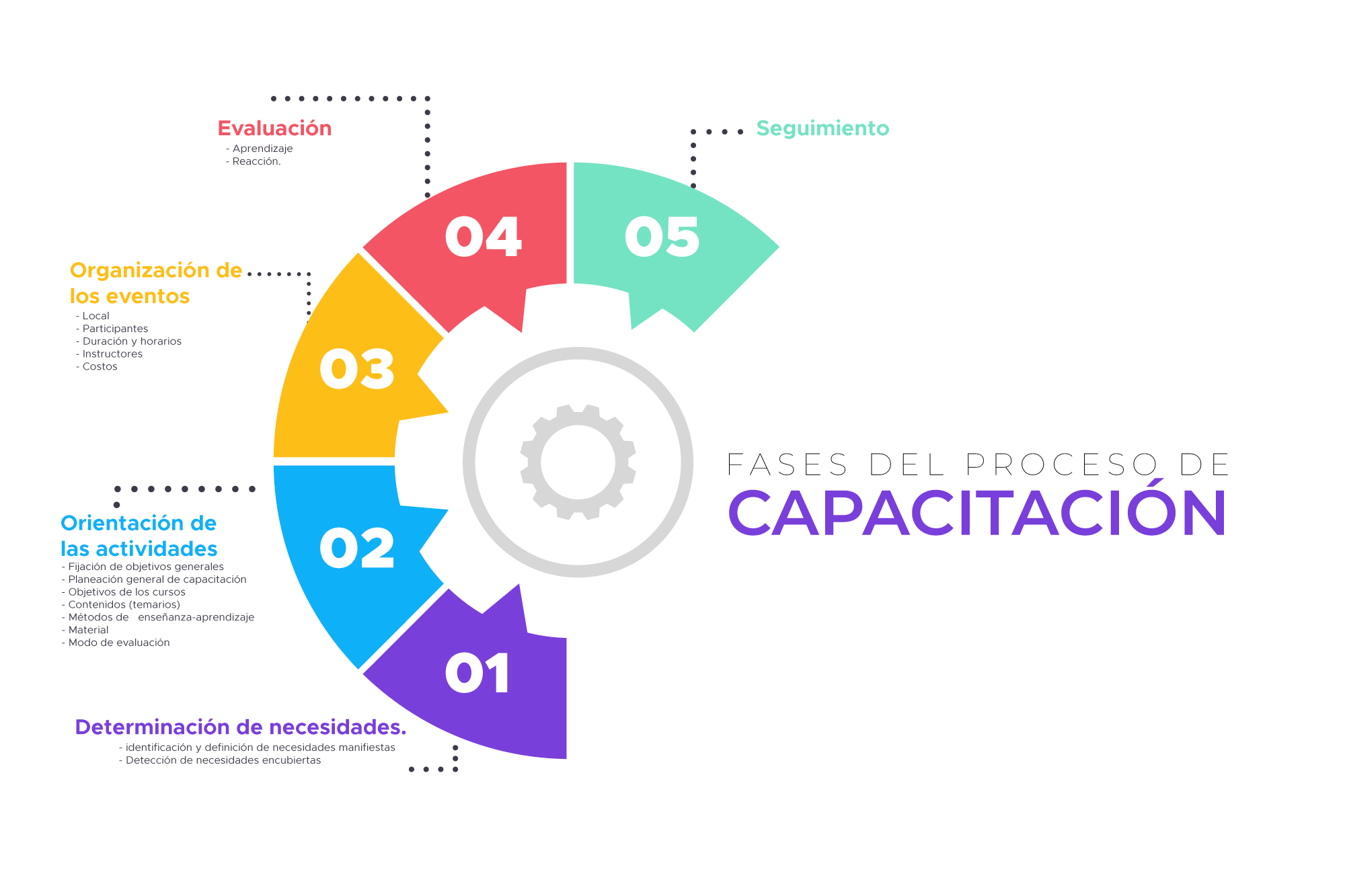 14.8 Capacitación – Instituto Nena 911 LATAM